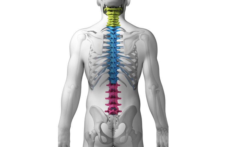 Lesión medular: fisioterapia en todas sus fases • Fisioterapia a ...